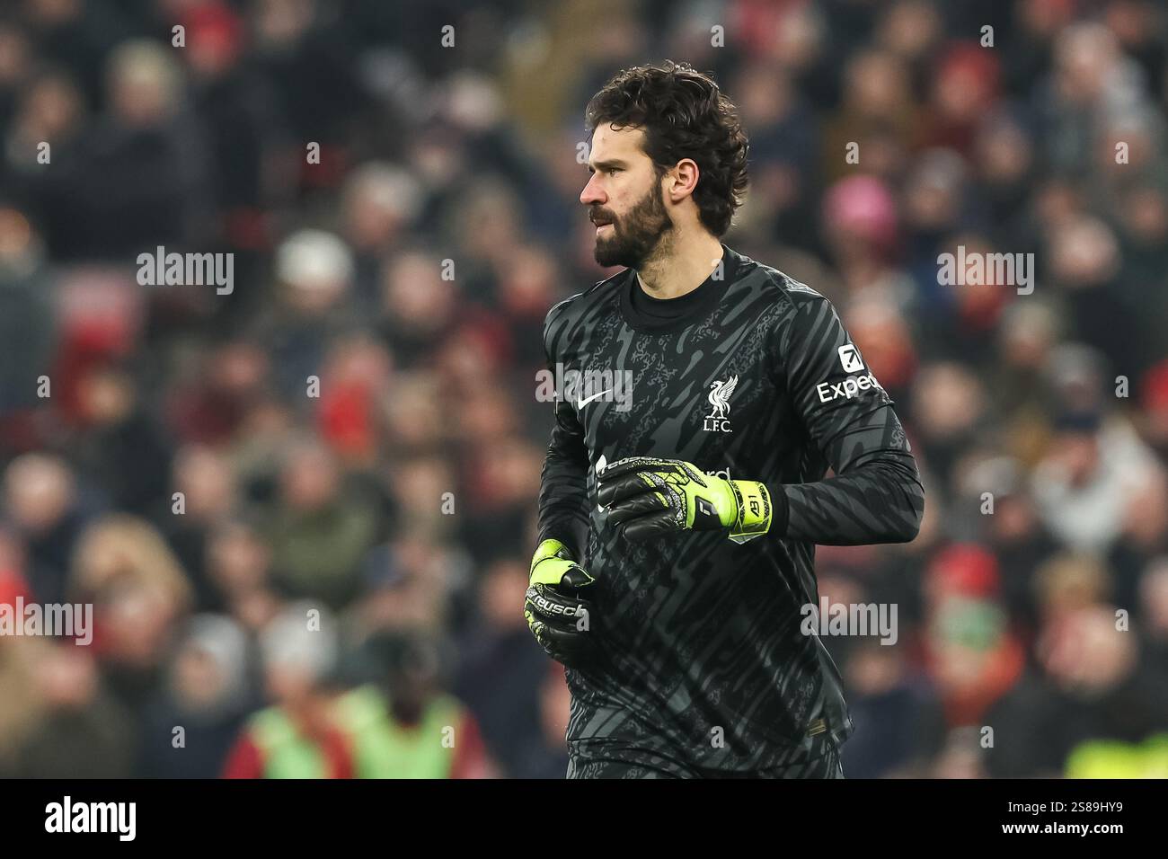Alisson Becker of Liverpool during the UEFA Champions League - League ...