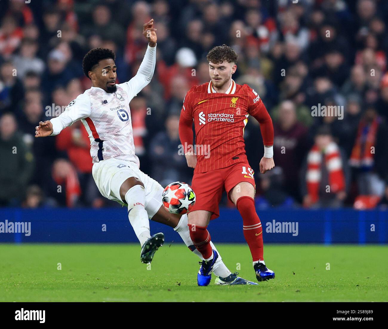 Liverpool, UK. 21st Jan, 2025. Liverpool's Harvey Elliott with Lille's ...