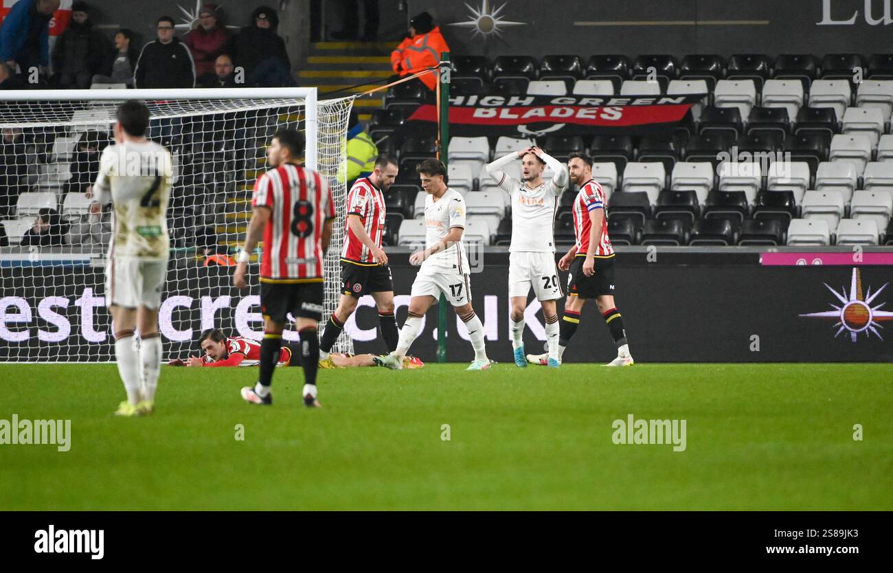 Swansea.com Stadium, Swansea, UK. 21st Jan, 2025. EFL Championship ...