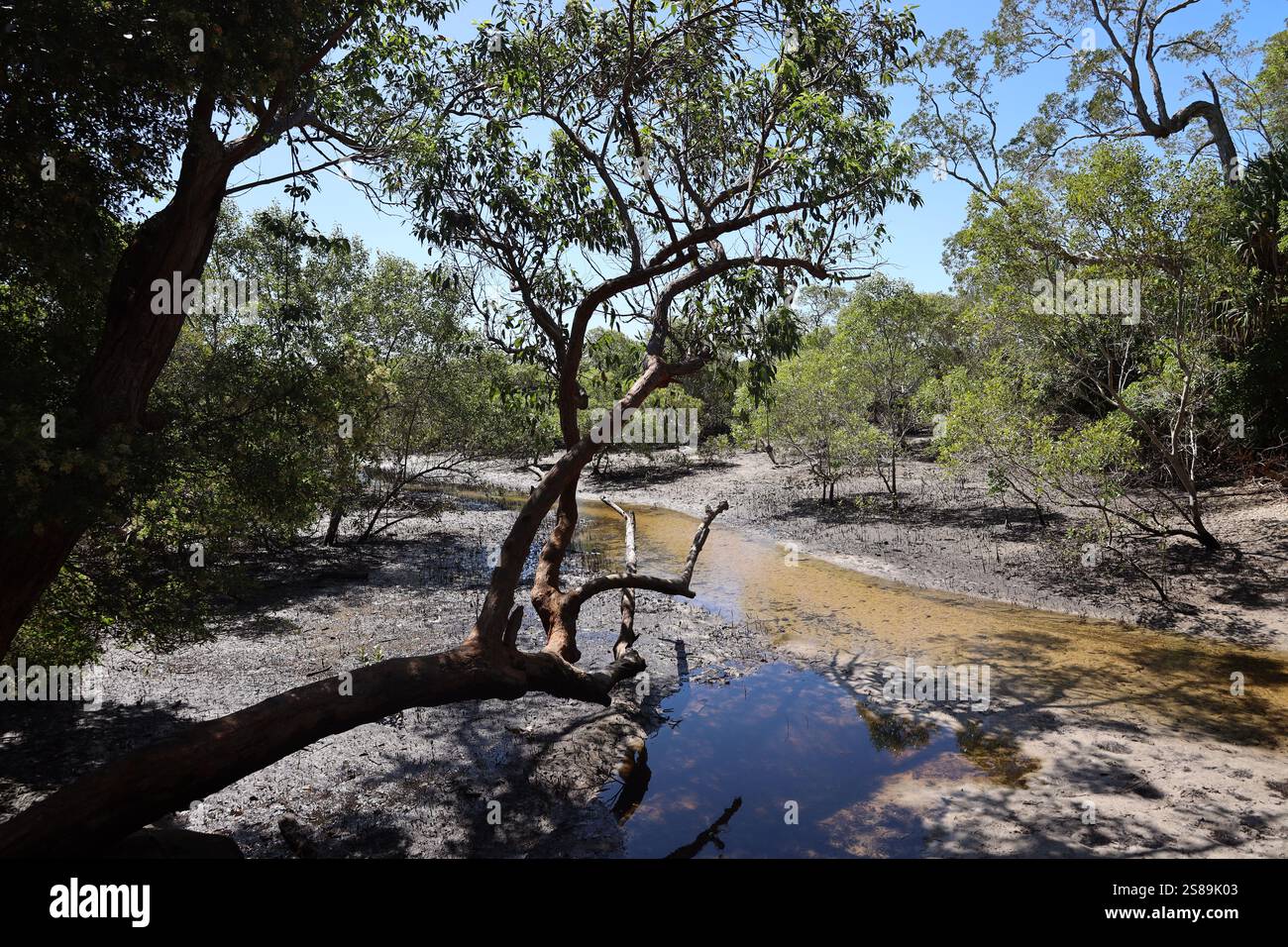 Shallow creek crossing mud hi-res stock photography and images - Alamy