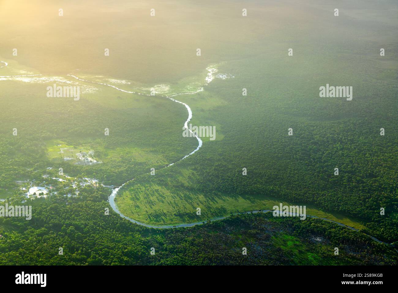 Scenic Tributary of the Demerara River Winding through the Amazon ...