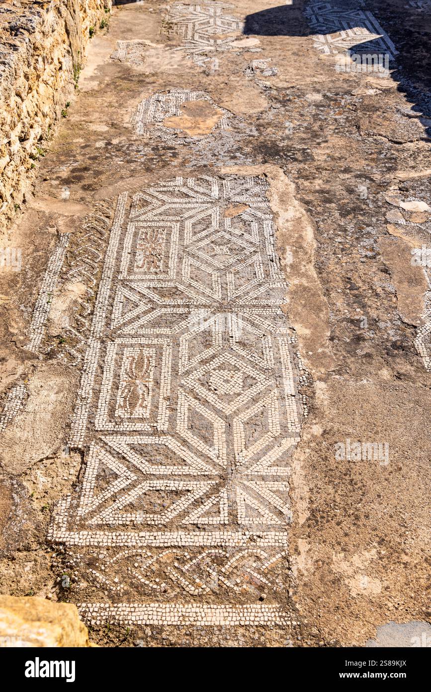 Ben Arous, Tunisia. Roman mosaic floor with geometric patterns at the ...