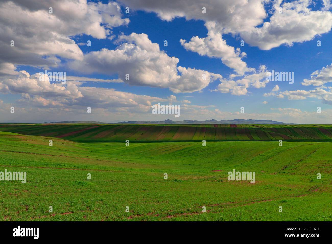The beautiful nature of Borujerd Stock Photo - Alamy