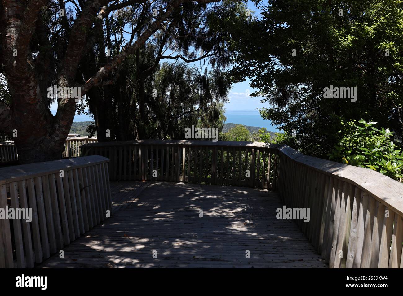 boardwalk with a view shaded by trees and dense tropical foliage Stock ...