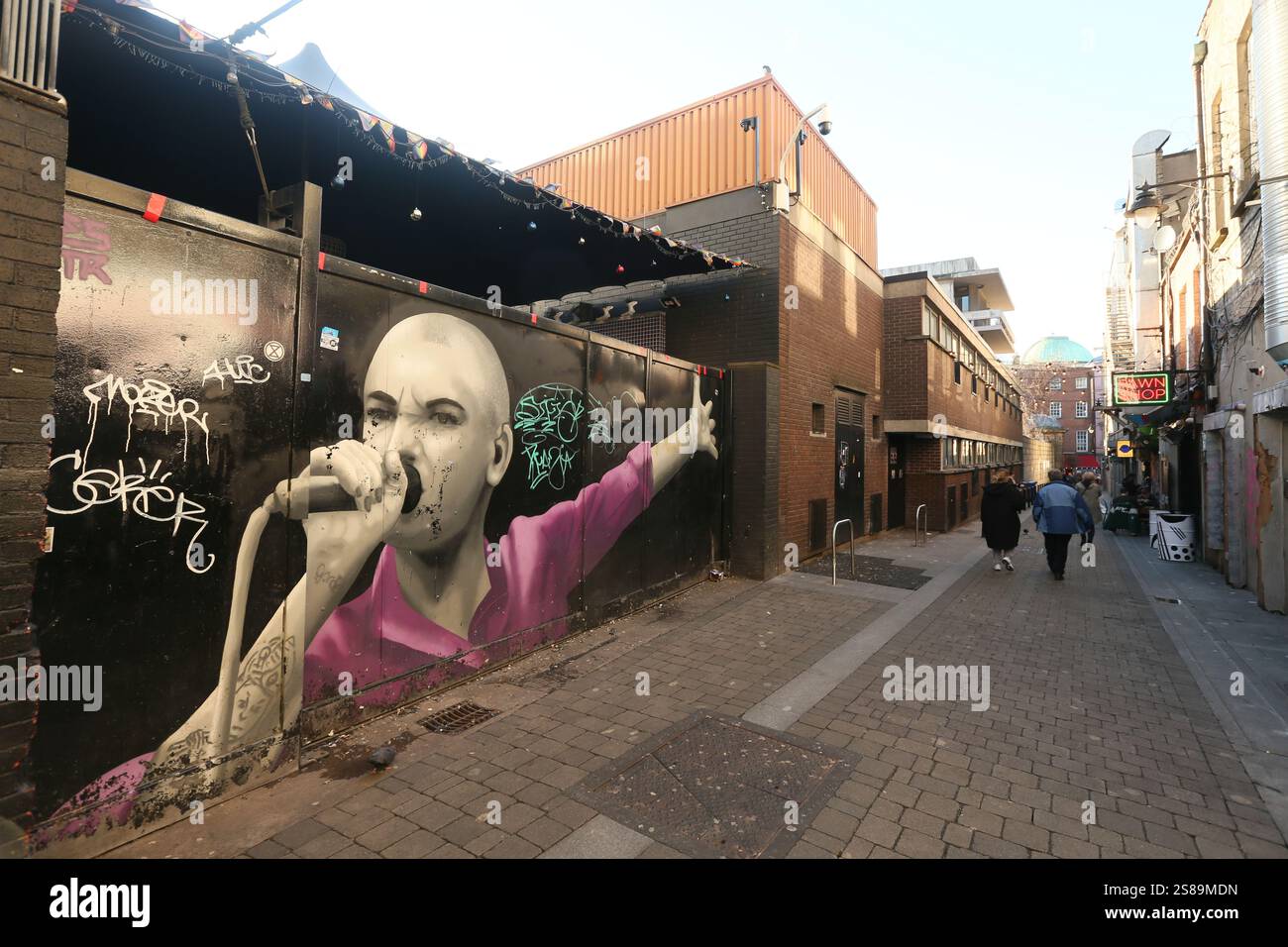 Dublin, Ireland - 15th January 2025 - Street art mural of famous Irish ...