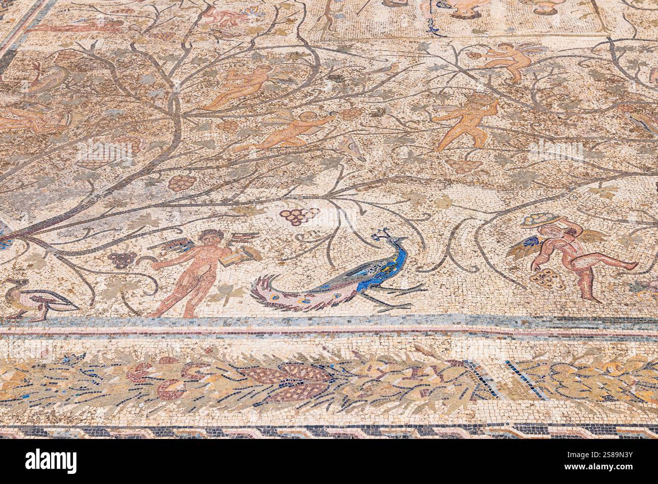 Ben Arous, Tunisia. Roman mosaic floor with a peacock and cherubs at ...
