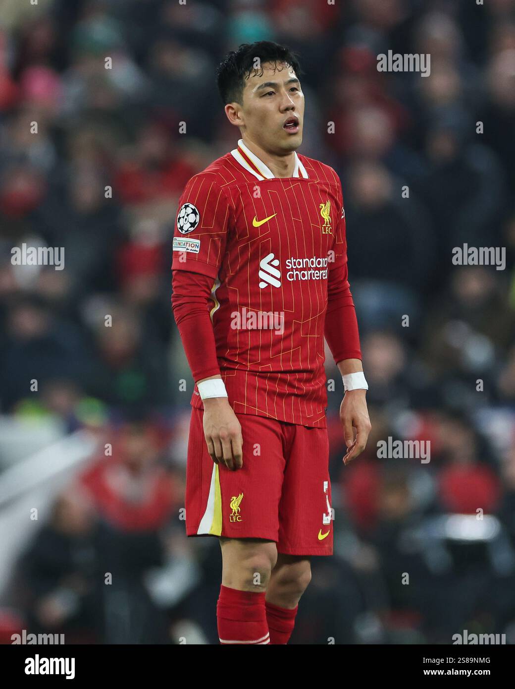 Wataru Endo of Liverpool during the UEFA Champions League - League ...