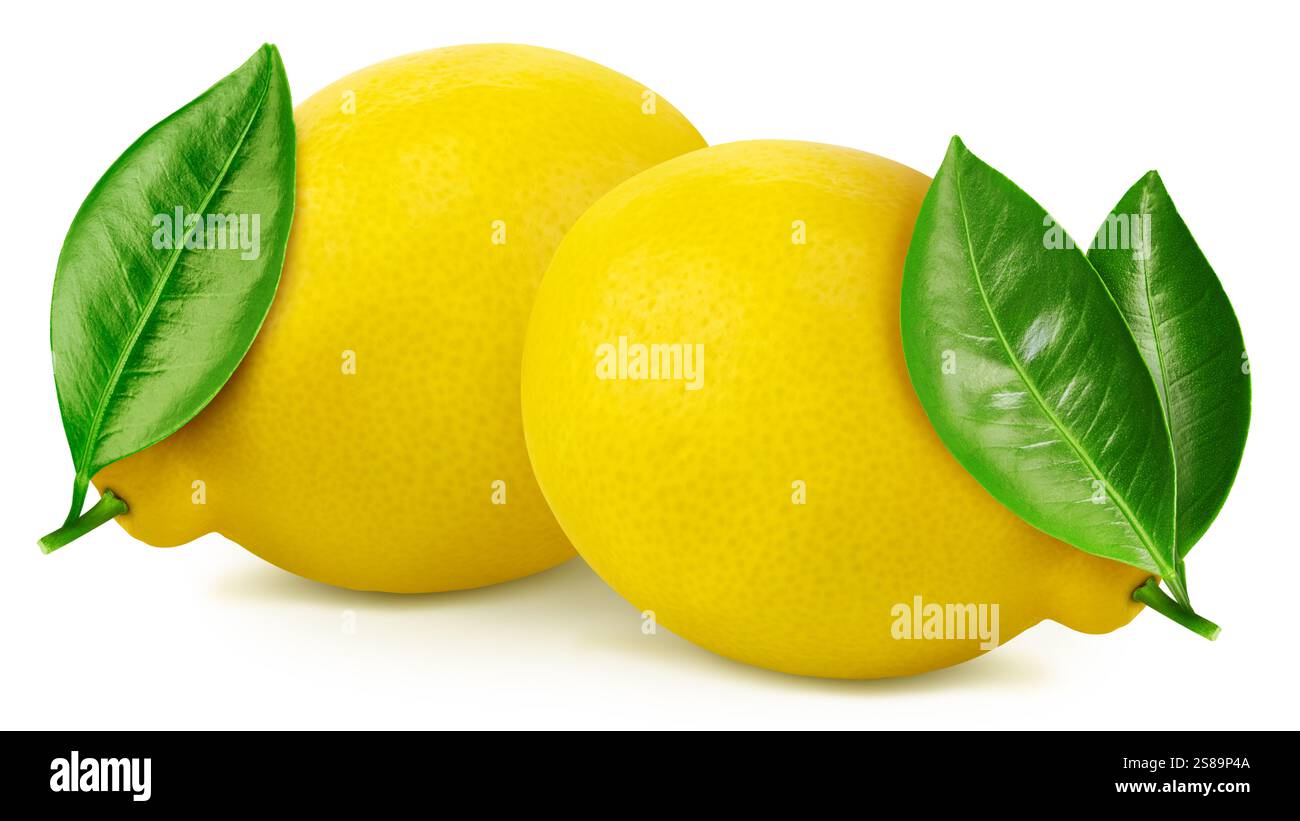 Lemons and leaves, isolated on white background. Full depth of field ...