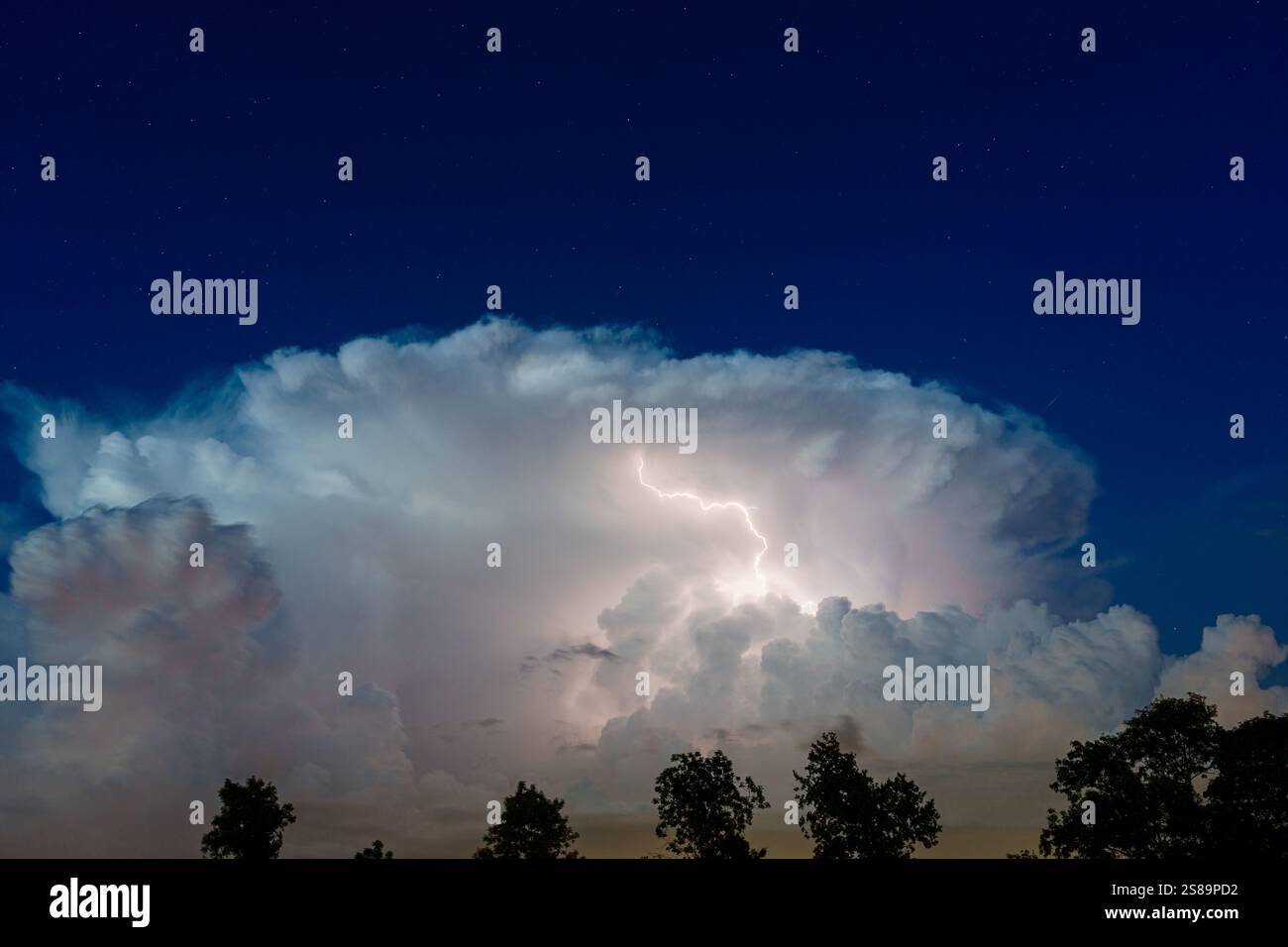Bright lightning bolt strikes from dark stormy sky above tree line ...