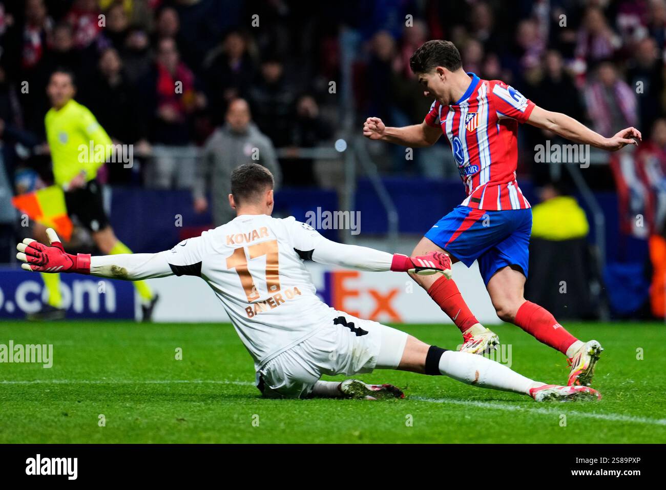 Julián Alvarez of Atletico de Madrid and Matej Kovar of Bayer ...