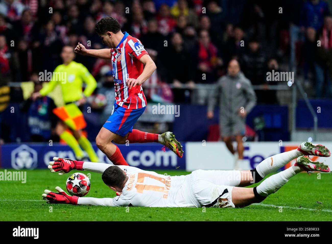 Julián Alvarez of Atletico de Madrid and Matej Kovar of Bayer ...