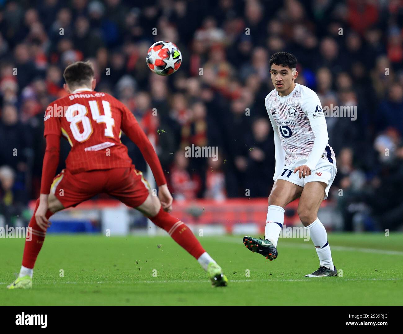 Osame sahraoui hi-res stock photography and images - Alamy