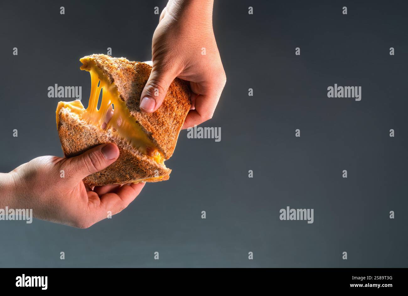 Two hands are pulling apart a golden-brown grilled cheese sandwich ...