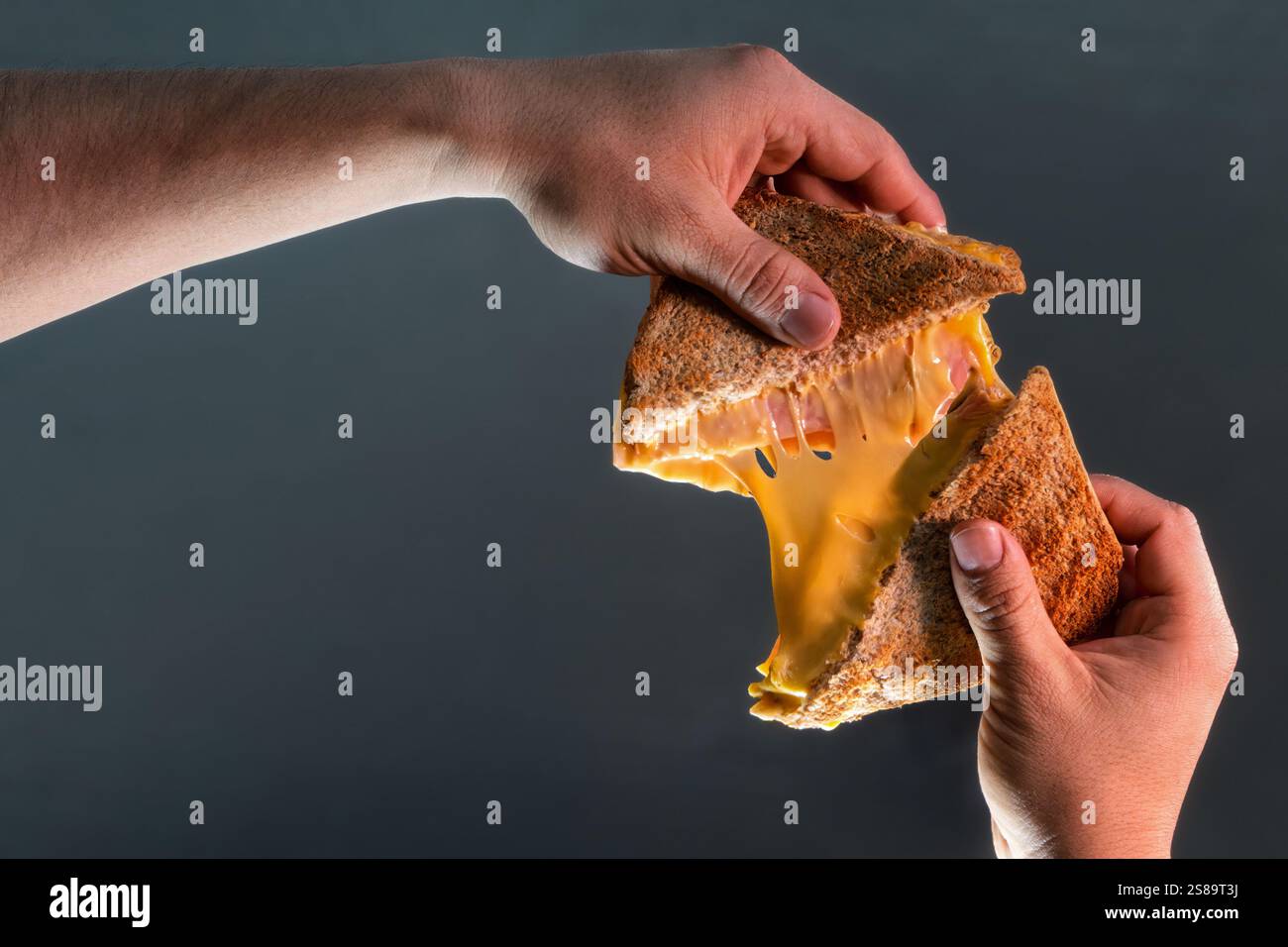 Two hands pull apart a delicious grilled cheese sandwich, revealing ...