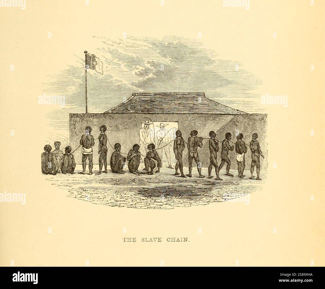 Dahoman Slave Trade- Black slaves held in chains. Vintage 19th Century ...