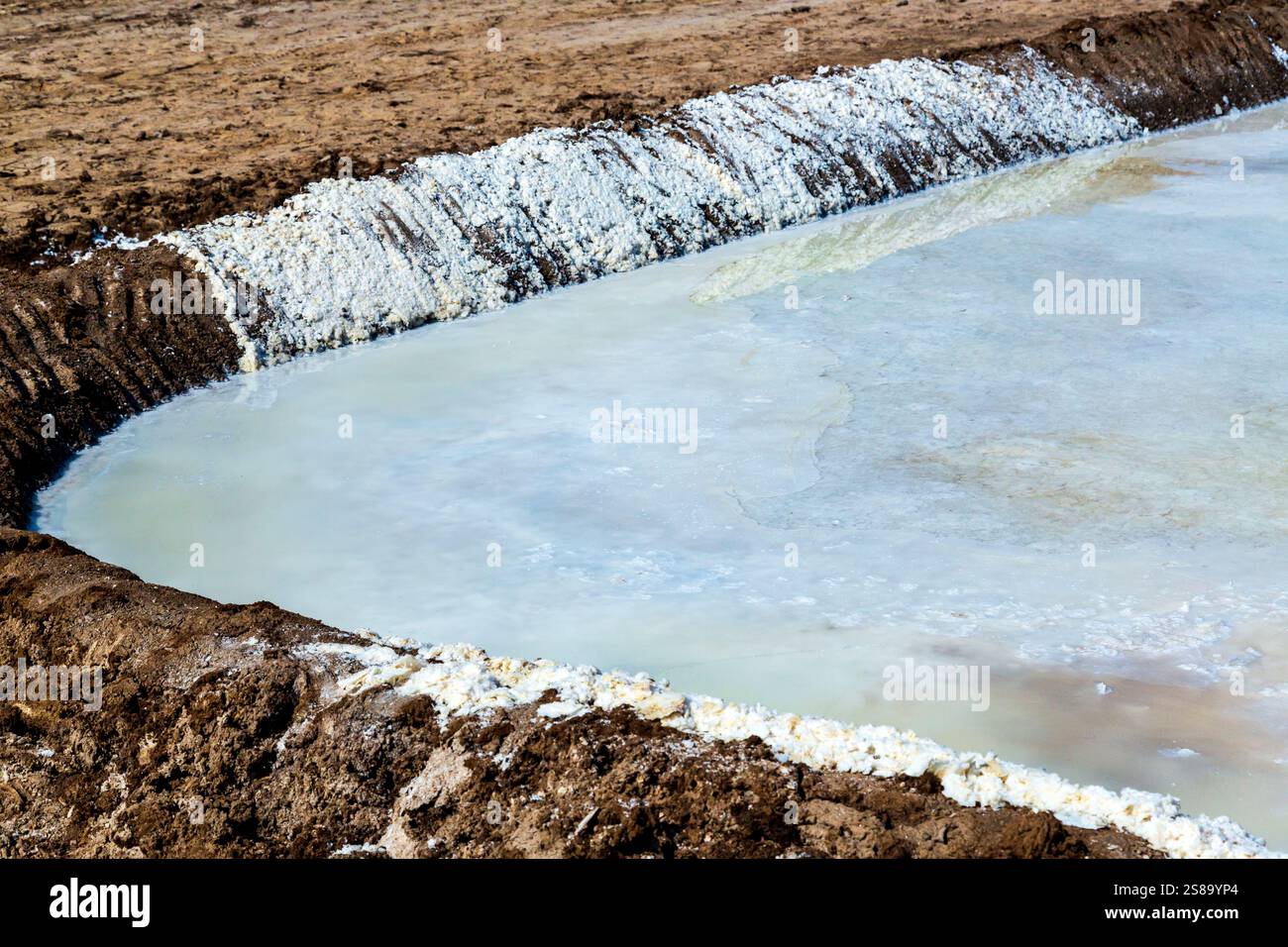 India. Great Rann of Kutch, salt marsh in Thar Desert. One of the largest salt deserts in the ...