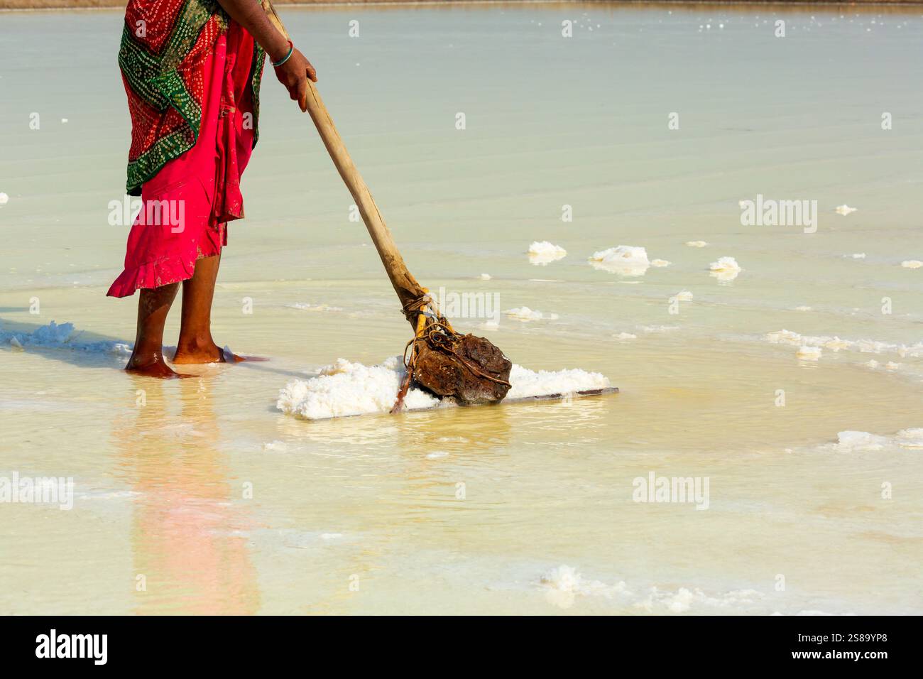 India. Great Rann of Kutch, salt marsh in Thar Desert. One of the largest salt deserts in the ...
