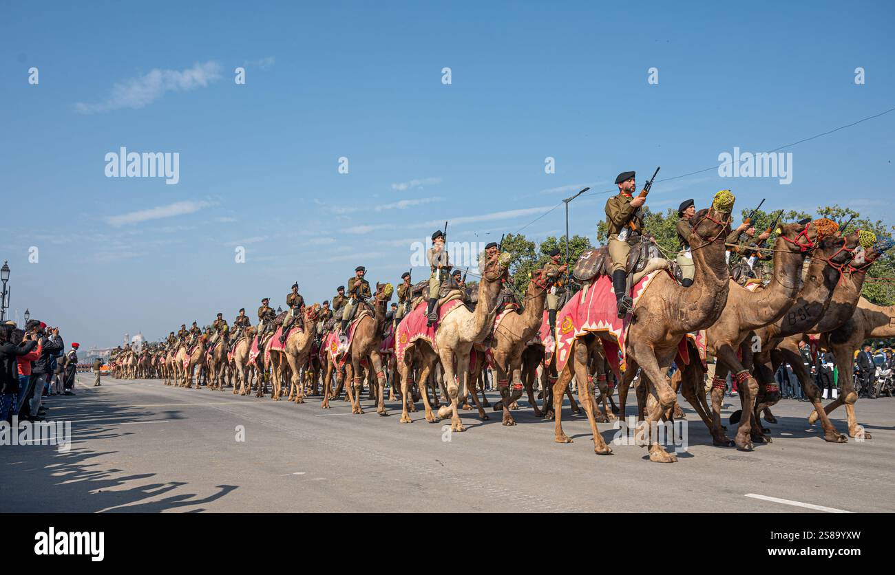 BSF Camel Regiment is a unique unit of the Border Security Force (BSF ...