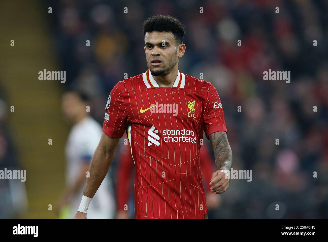 Liverpool, UK. 21st Jan, 2025. Luis Diaz of Liverpool looks on. UEFA ...