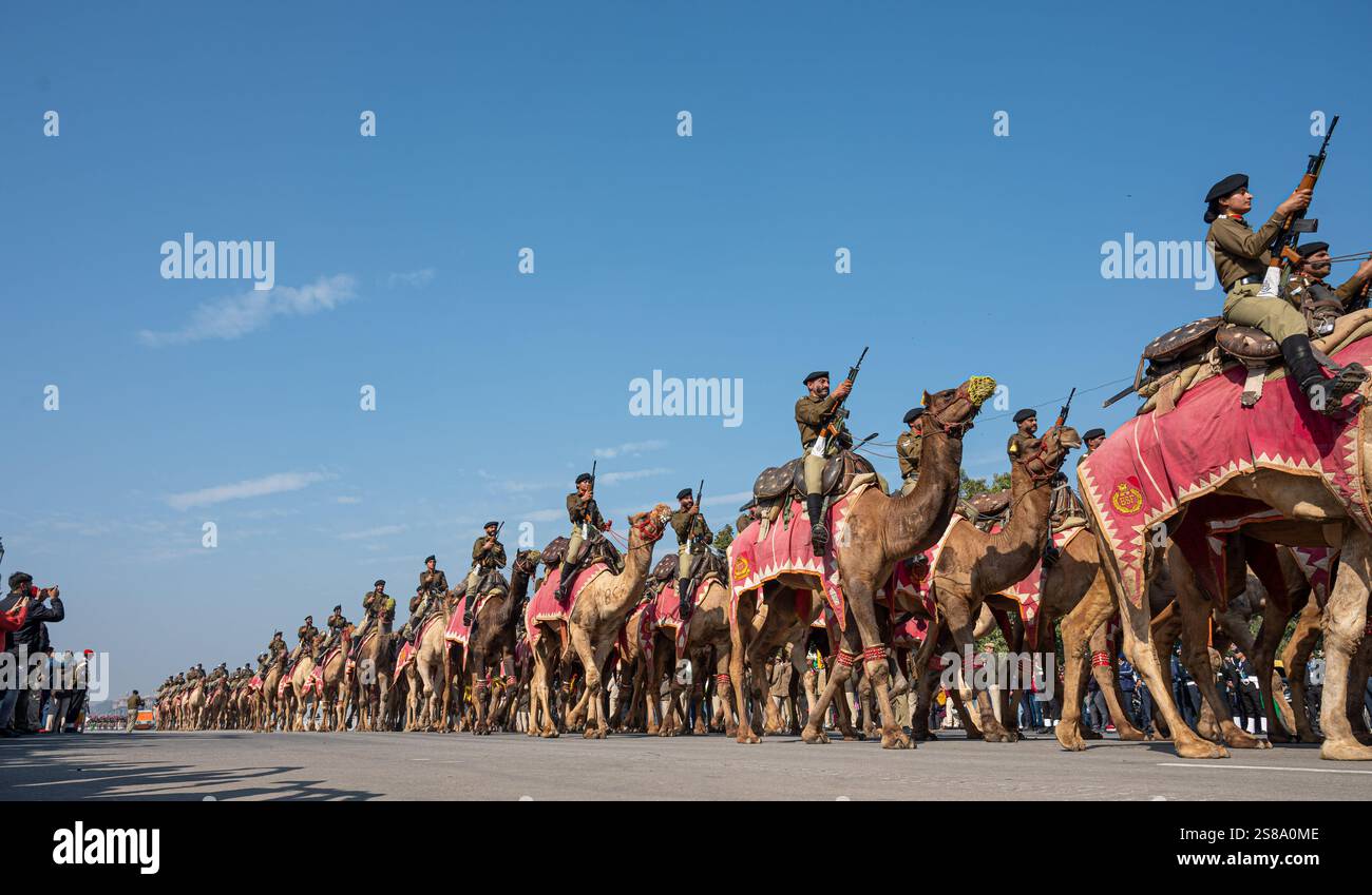 BSF Camel Regiment is a unique unit of the Border Security Force (BSF ...