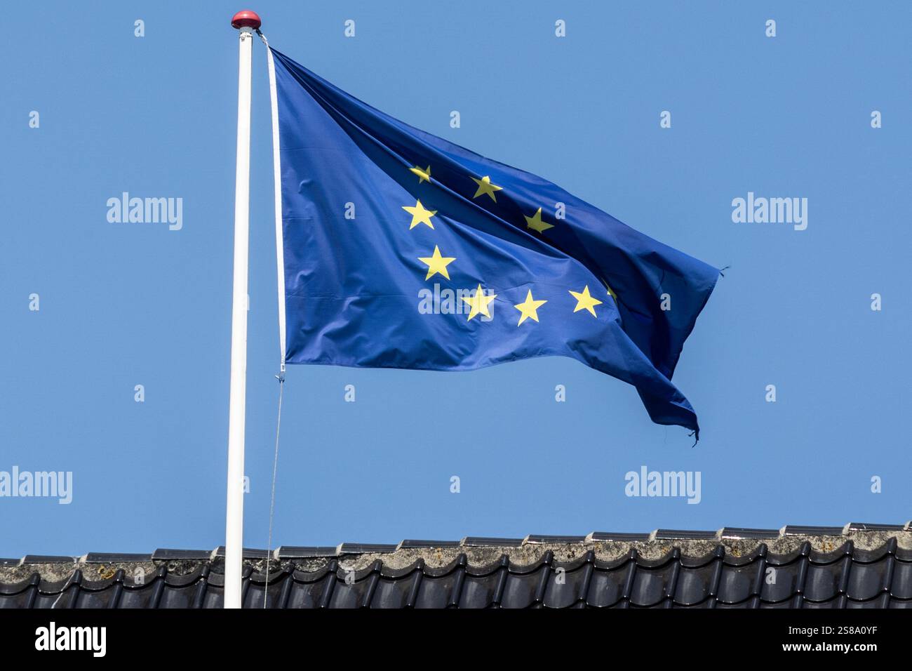 The flag of Europe or European flag consists of twelve golden stars ...