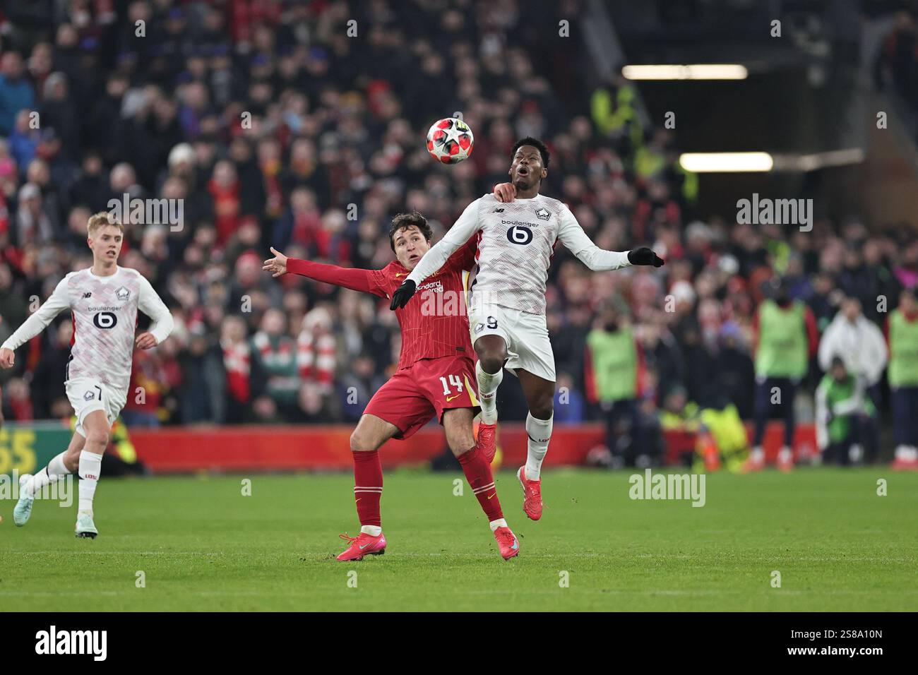 Liverpool, UK. 21st Jan, 2025. Jonathan David of Lille and Federico ...