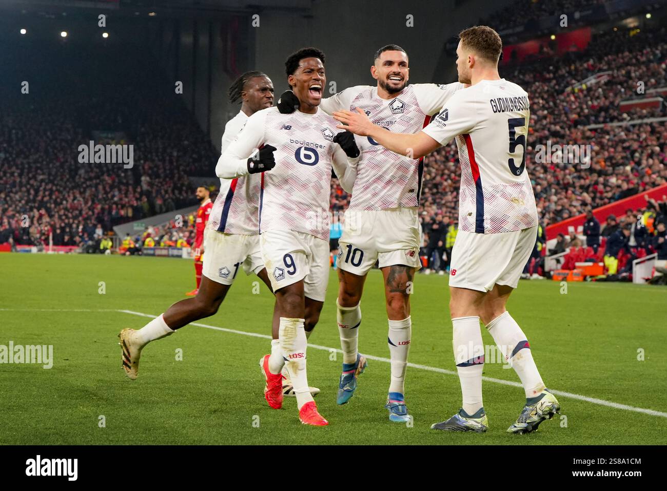 LIVERPOOL, ENGLAND - JANUARY 21: Jonathan David of Lille celebrates ...