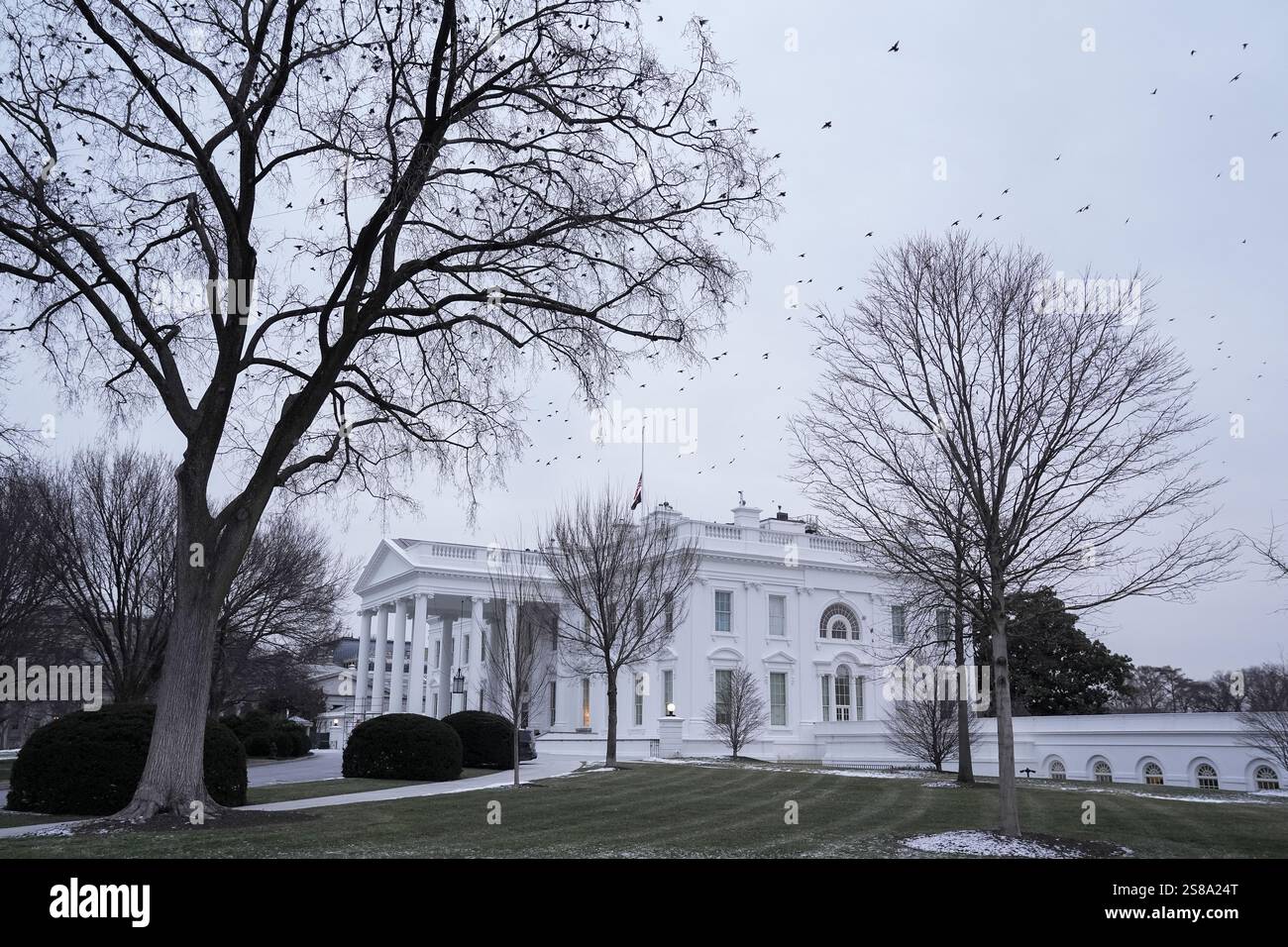 Washington, USA. 21st Jan, 2025. Birds fly over the White House in ...