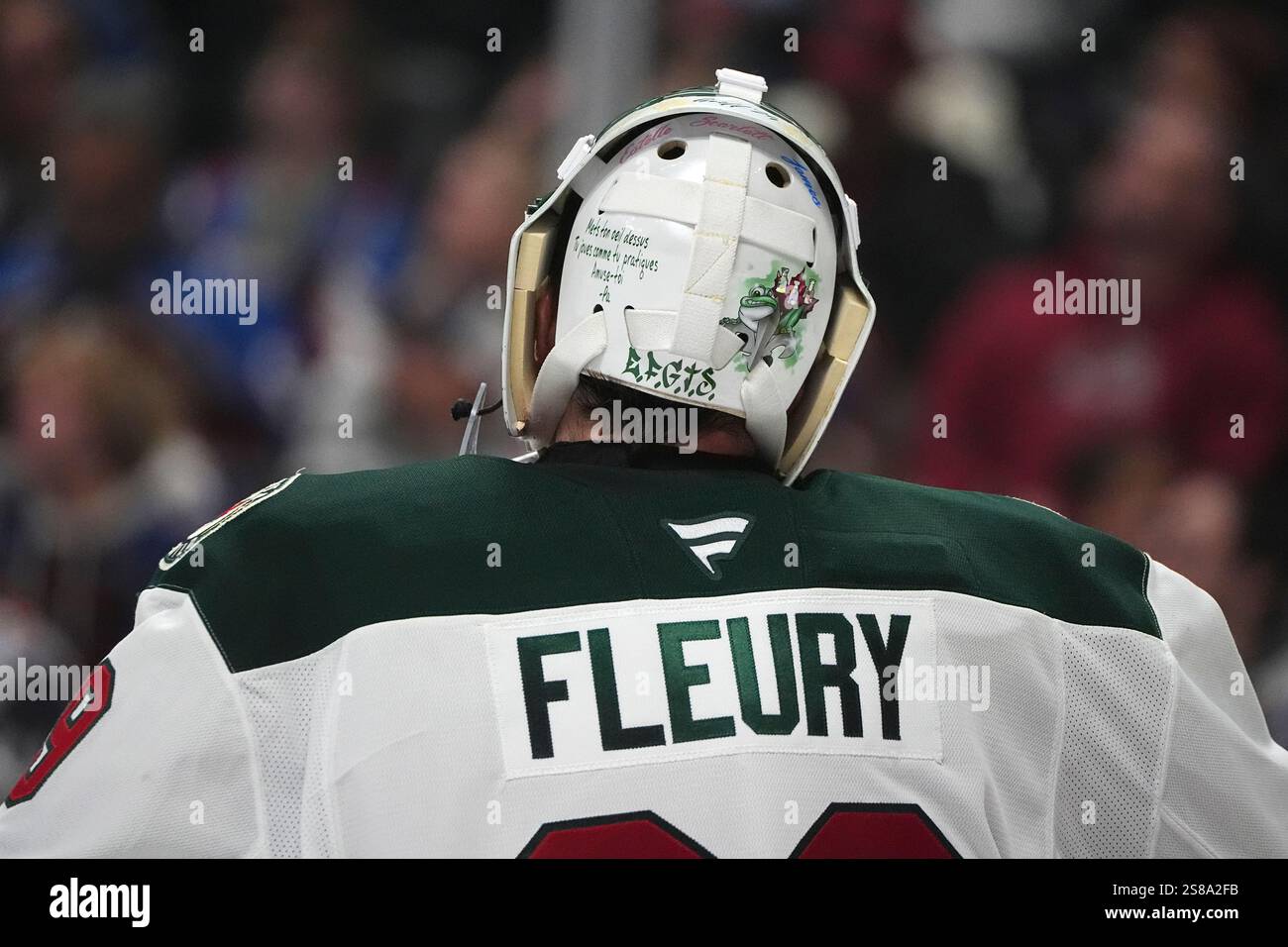 Minnesota Wild goaltender Marc-Andre Fleury (29) in the third period of ...