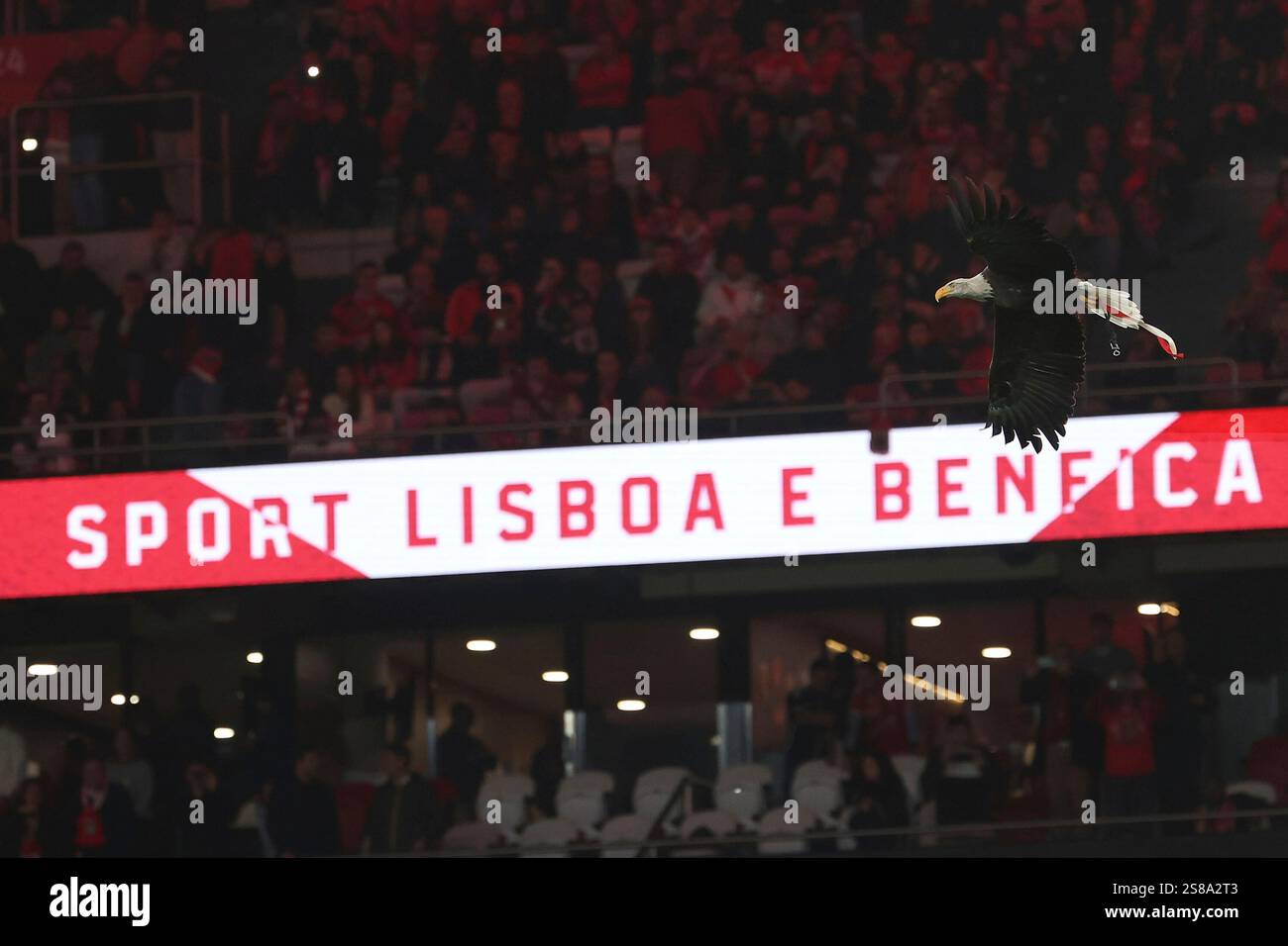 Lisboa, Portugal. 21st Jan, 2025. Portugal, Estádio do SL Benfica ...