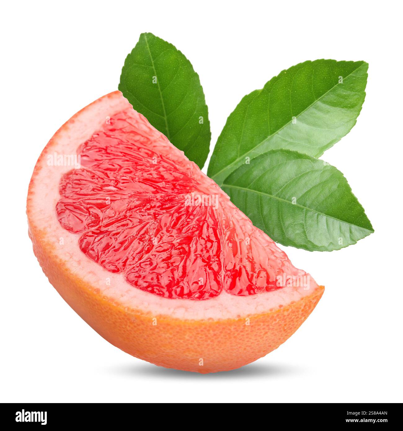 Juicy grapefruit slice and citrus plant branch isolated on white Stock ...
