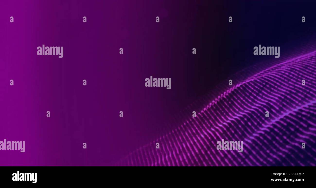 Image of purple light mesh moving on black background Stock Photo - Alamy