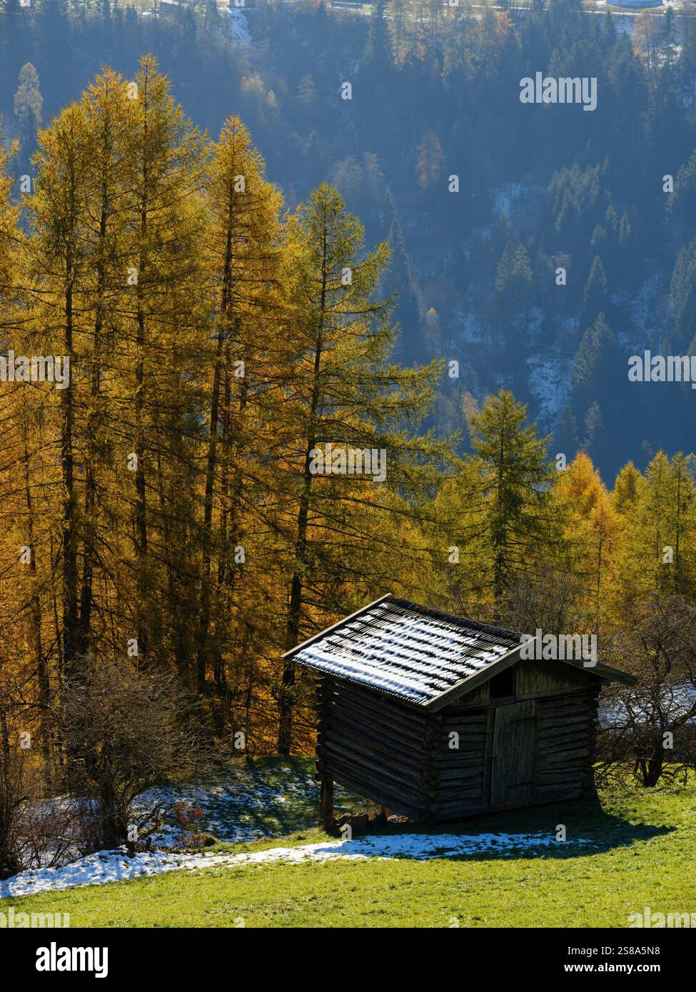 Autumn at the Telfer Wiesen in the valley Stubai. Austria, Tyrol Stock ...