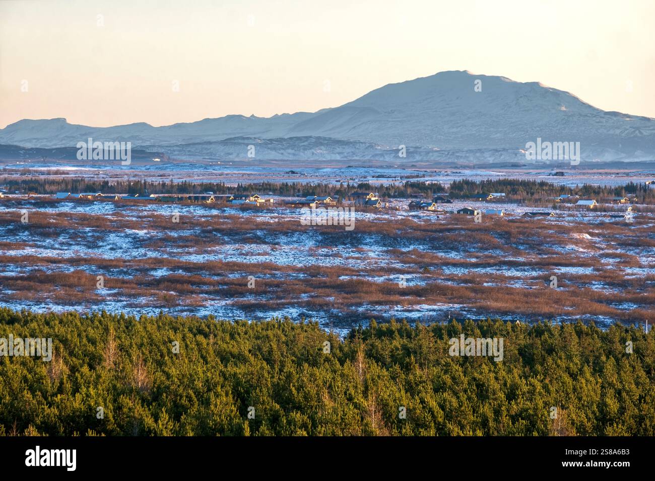 Aerial view of the Snæfoksstaðir Forest, a reforestation project near ...