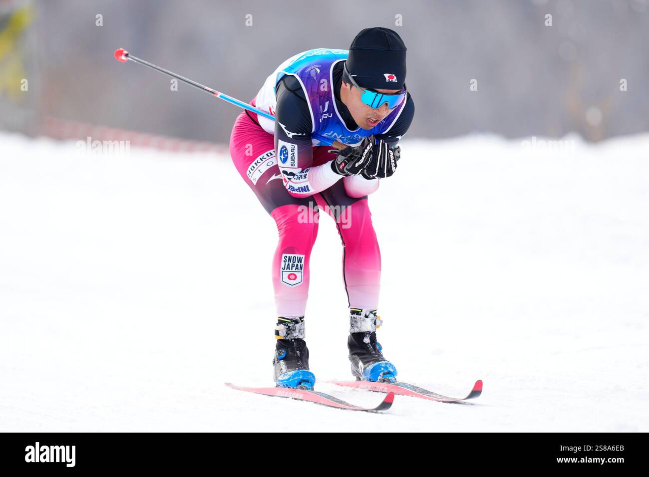 Sho Kasahara (JPN), JANUARY 21, 2025 - Cross Country Skiing : Torino ...