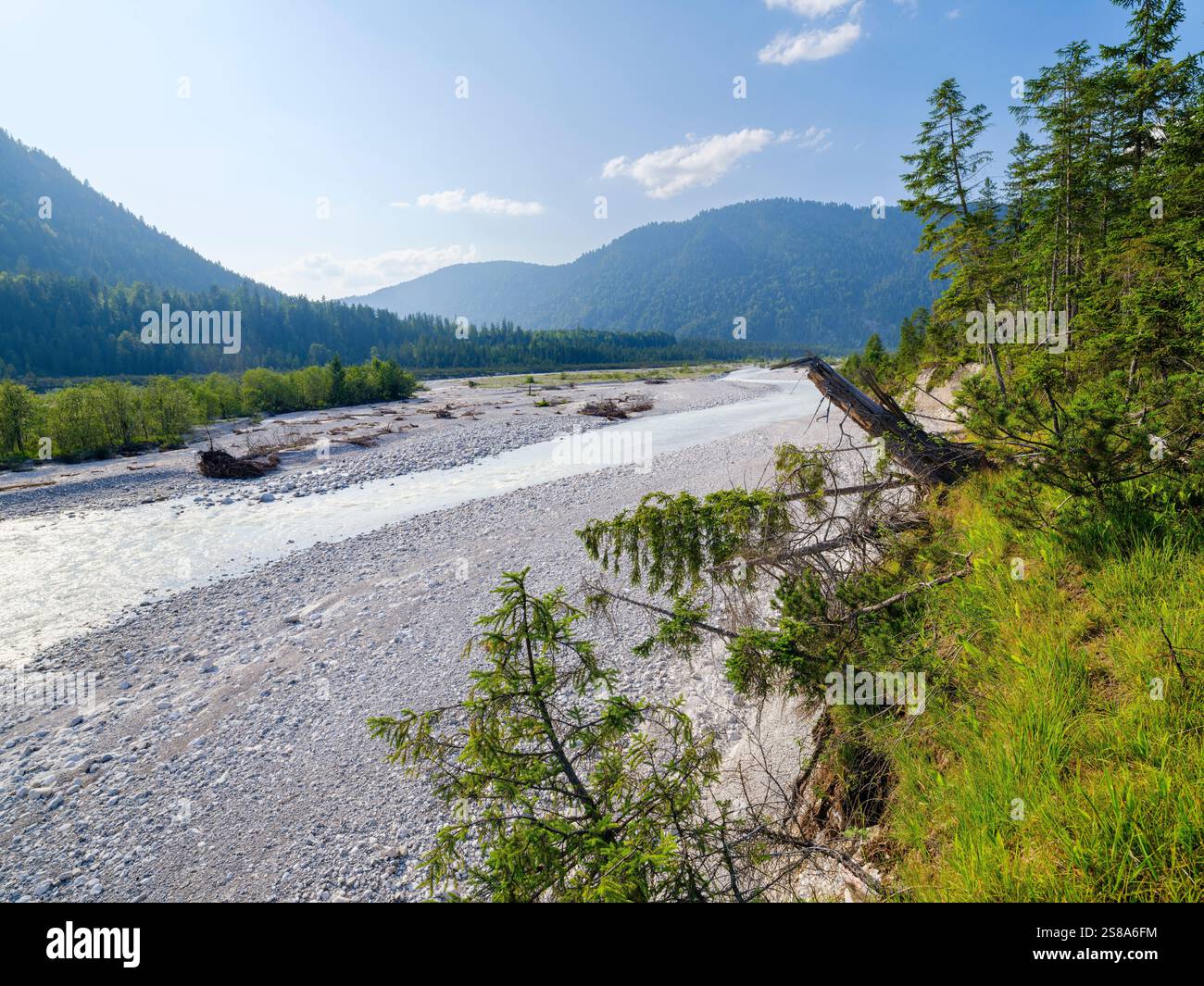 Creek Rissbach, one of the few wild braided rivers near village ...