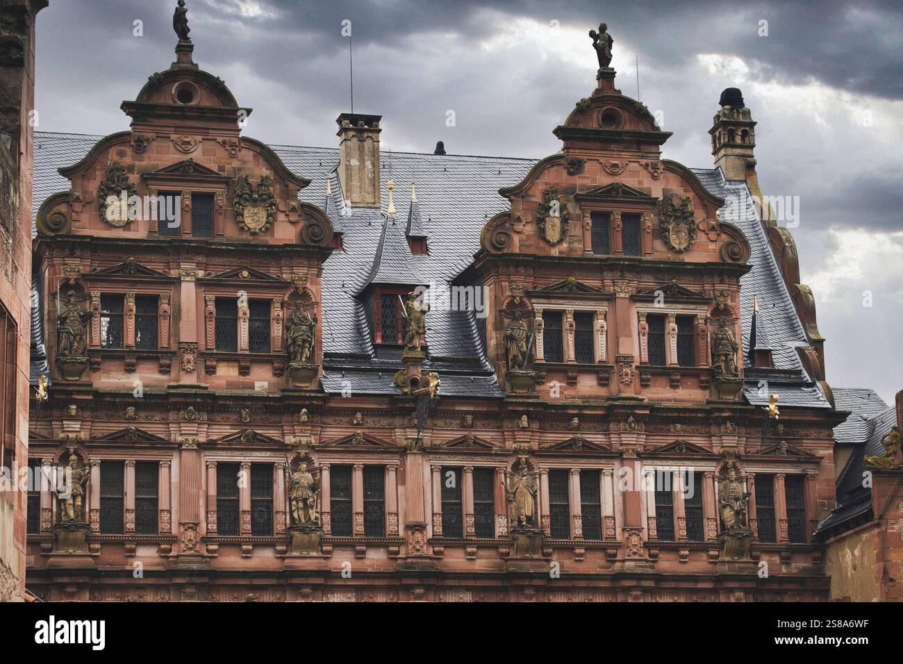 Friedrichs wing hi-res stock photography and images - Alamy