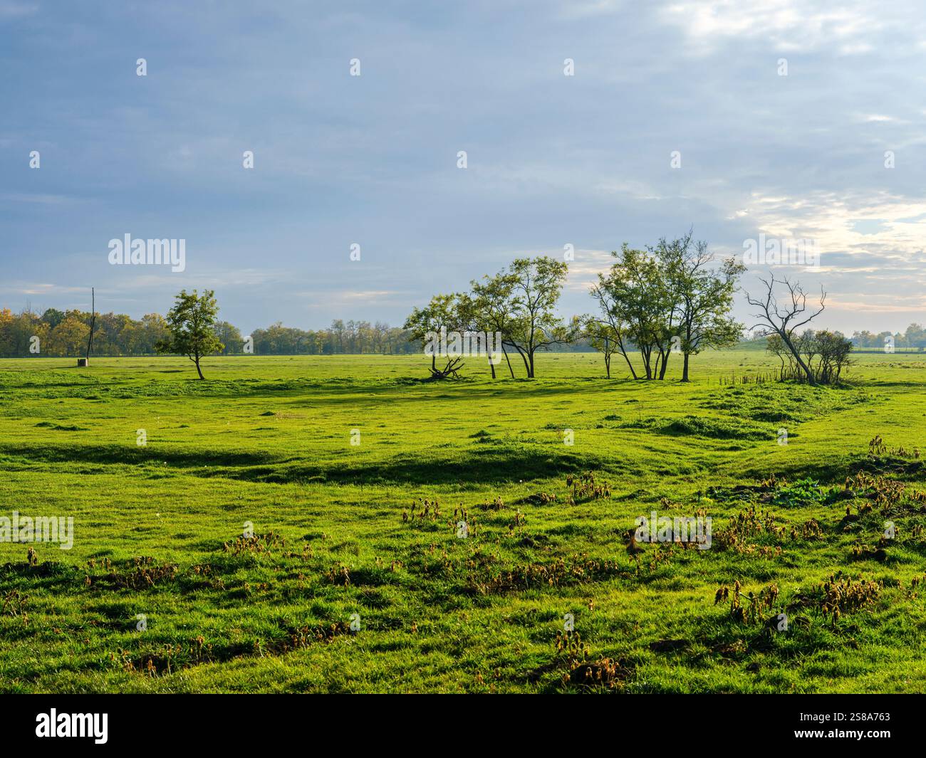 Landscape of the typical steppe 'Puszta' ecosystem in the National Park ...