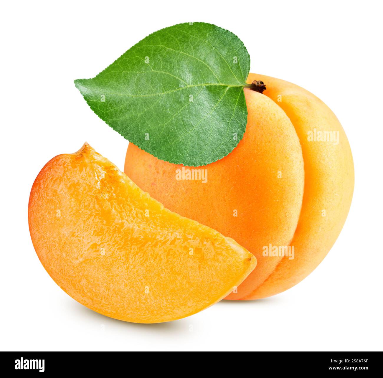 Whole and slice apricot on white background. Apricot isolated on white ...