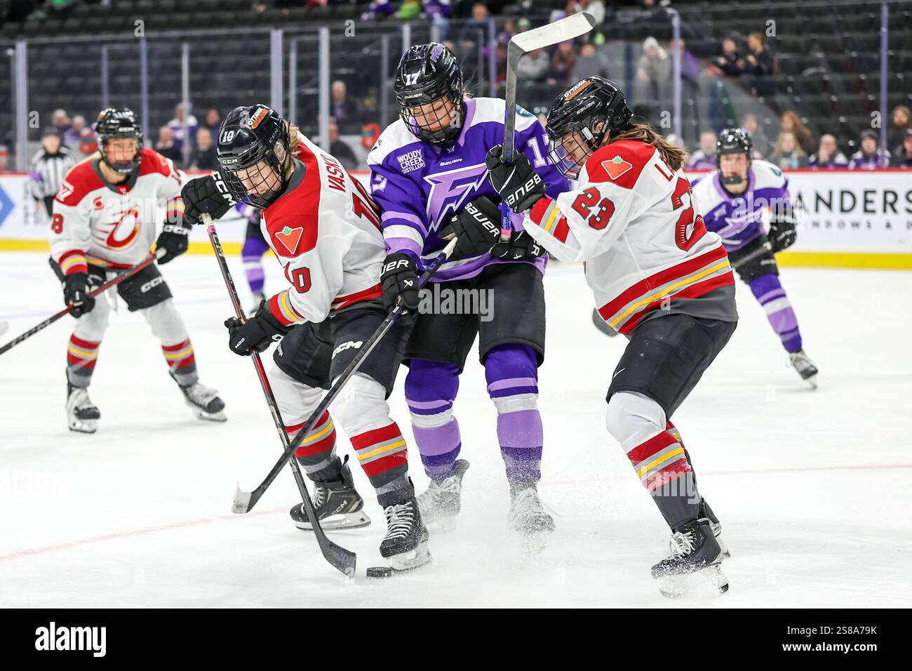 January 21st, 2025: during a PWHL hockey game between the Ottawa Charge ...