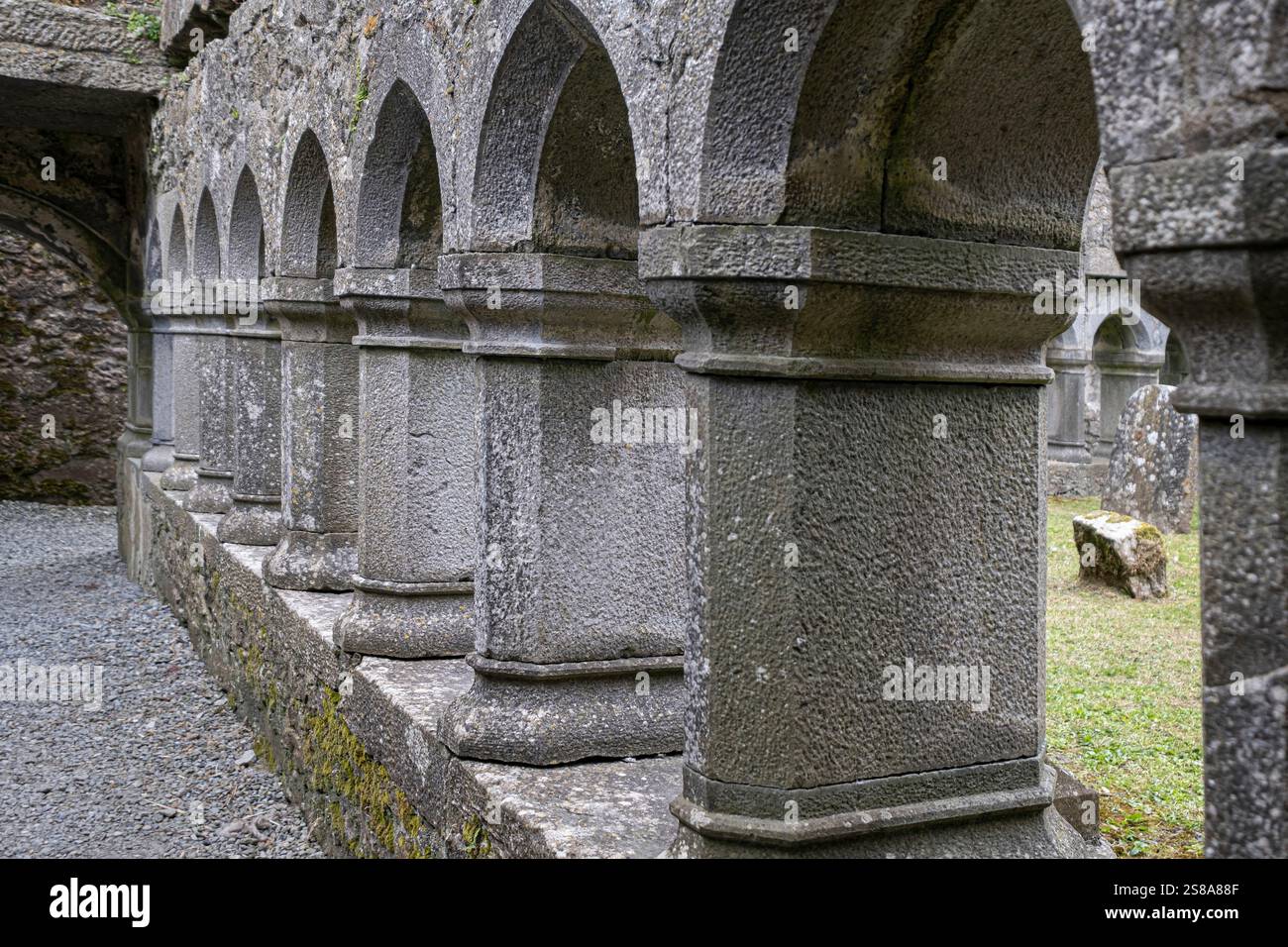 These ancient cloisters are at the heart of Ross Friary in Ireland ...