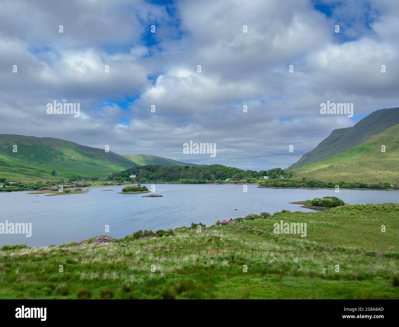 Vast Lough Carra shines in the Irish countryside Stock Photo - Alamy