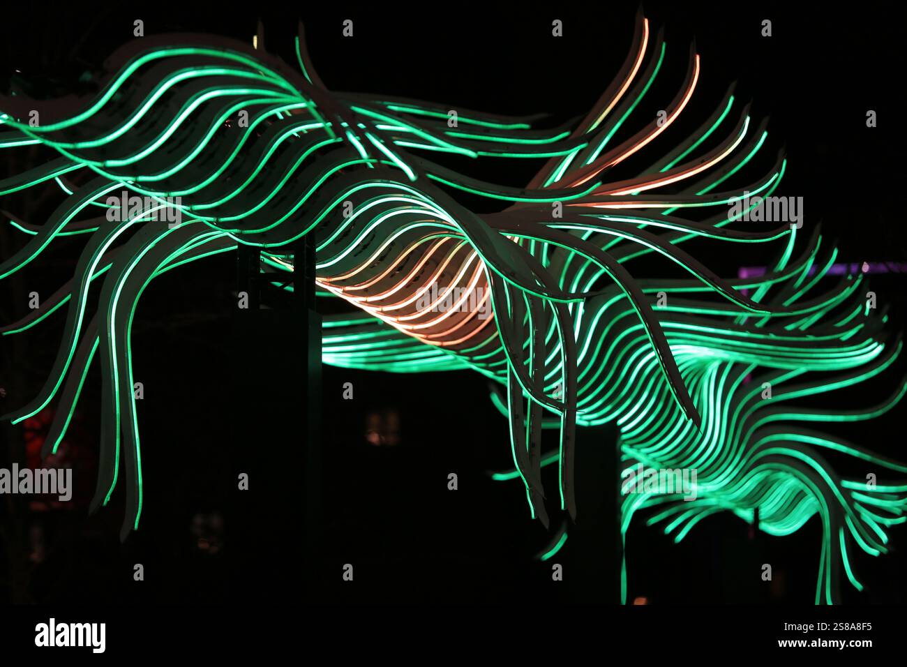 London, UK. 21 January 2025. "Bird Passing By" by Luminariste with Benjamin Nesme & Marc Sicard ...