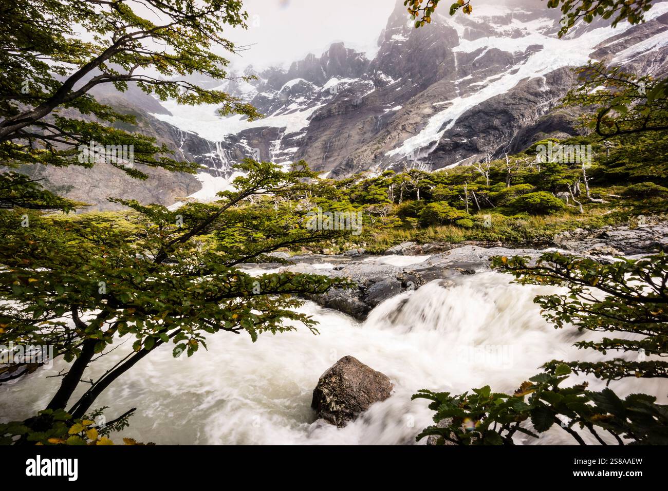 Frances glacier, Frances Valley, Torres del Paine National Park ...