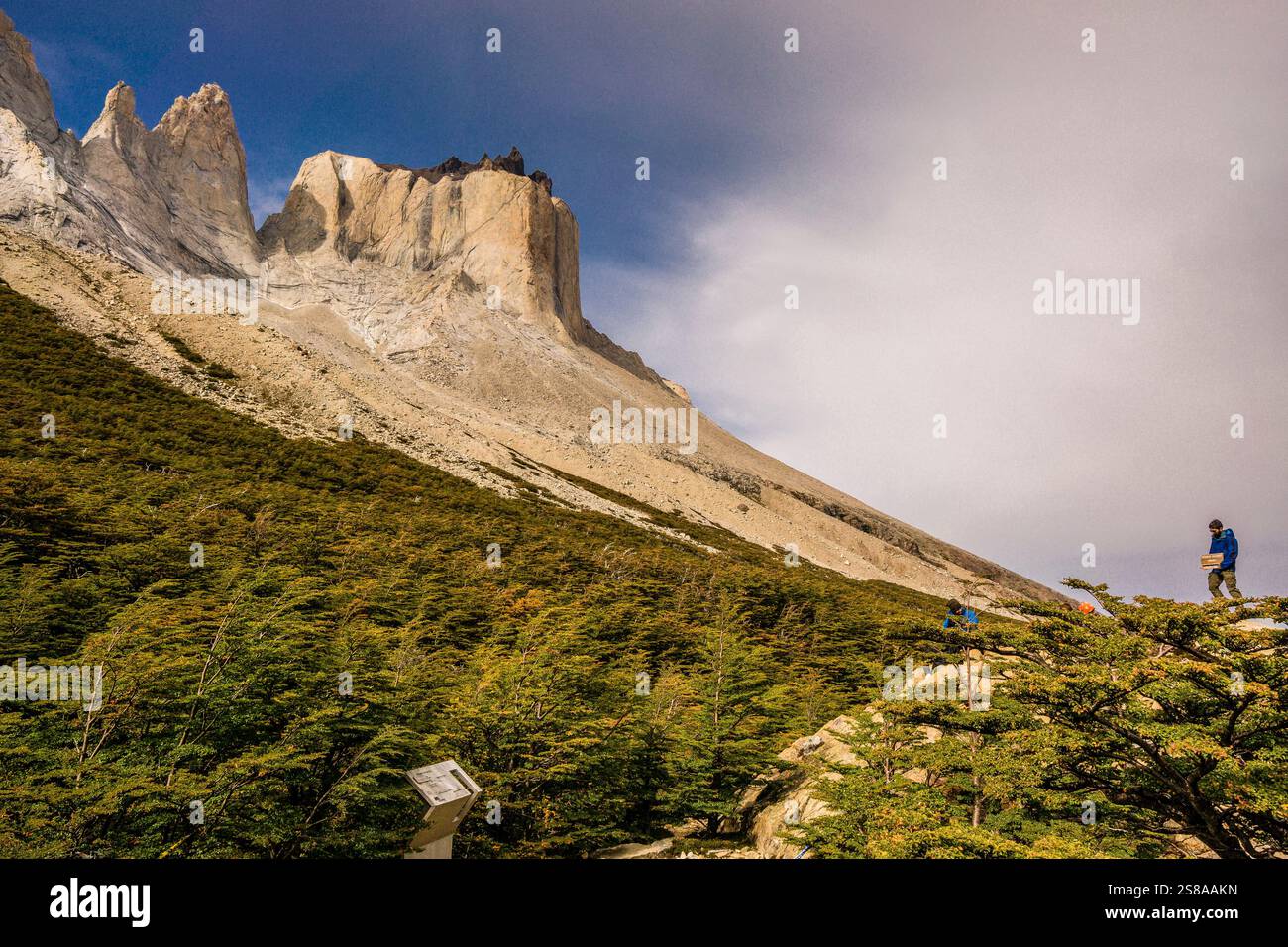 Frances glacier, Frances Valley, Torres del Paine National Park ...