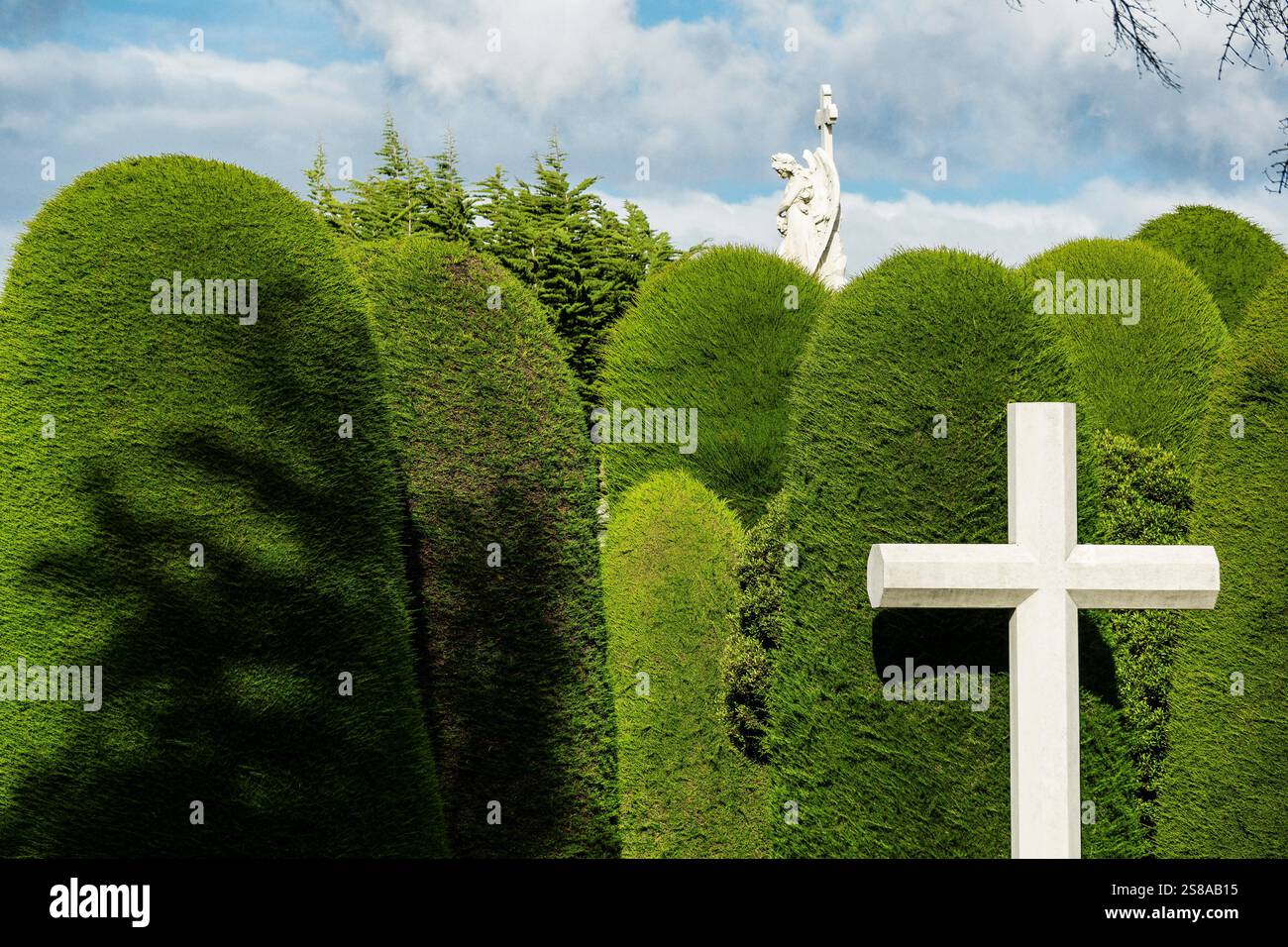 Sara Braun Municipal Cemetery, 1894, Punta Arenas -Sandy Point ...