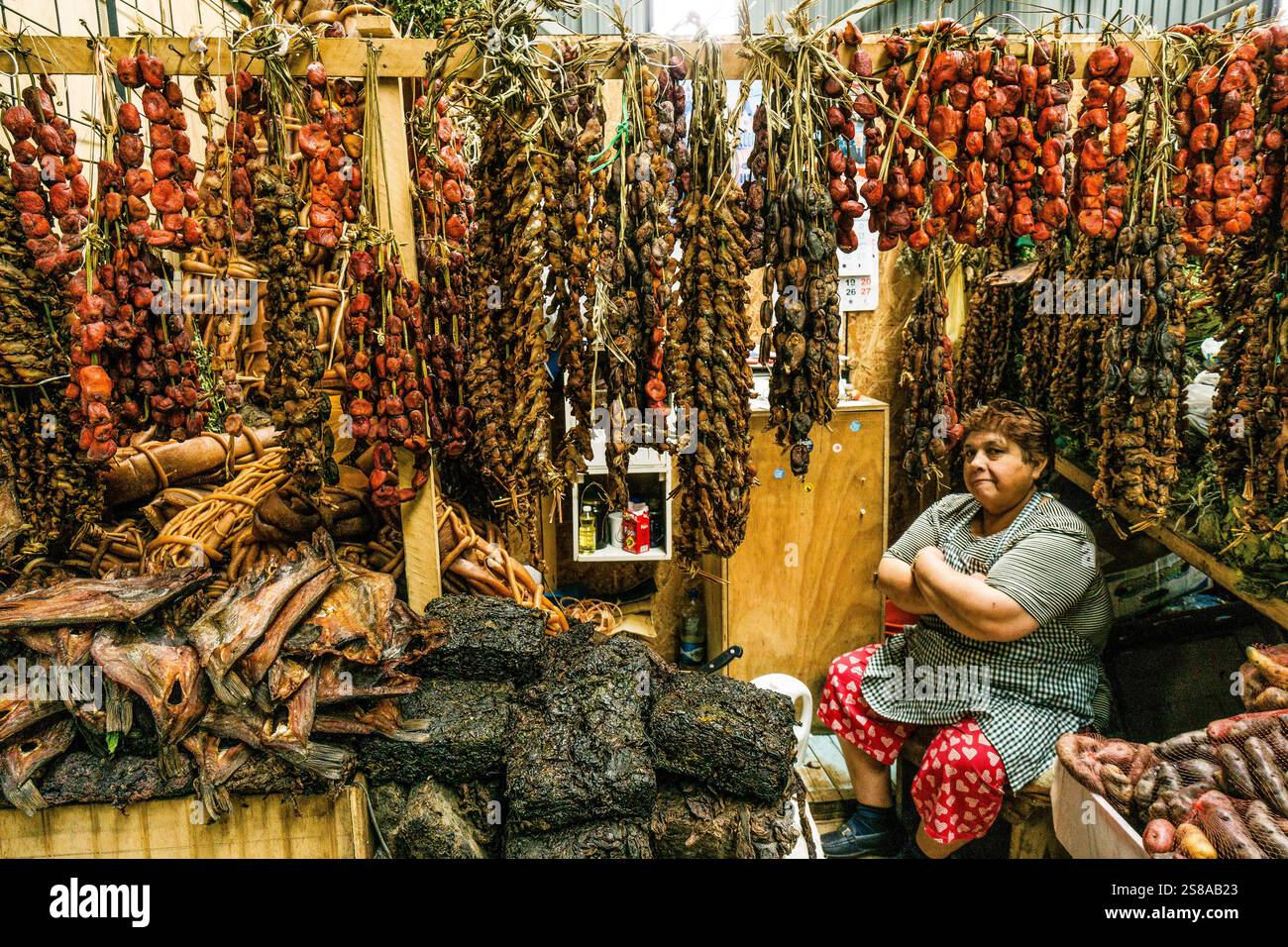 market, Castro village, Chiloé archipelago, Chiloé province, Los Lagos ...