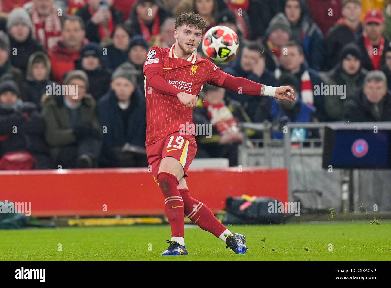 21st January 2025; Anfield, Liverpool, Merseyside, England; Champions ...