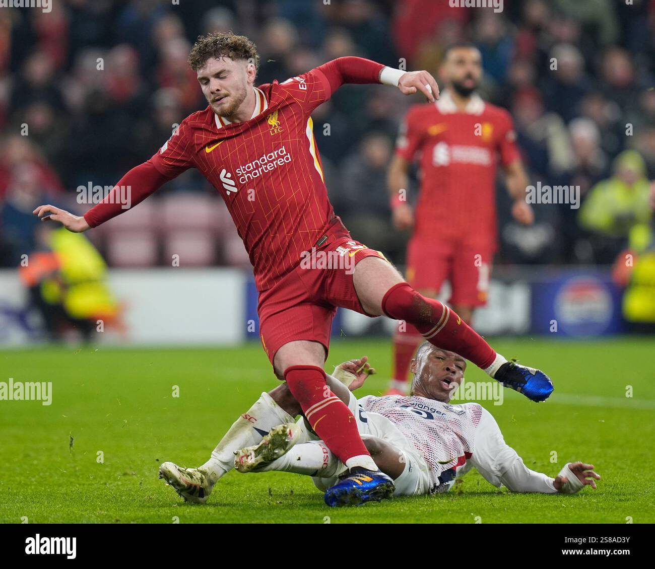 21st January 2025; Anfield, Liverpool, Merseyside, England; Champions ...