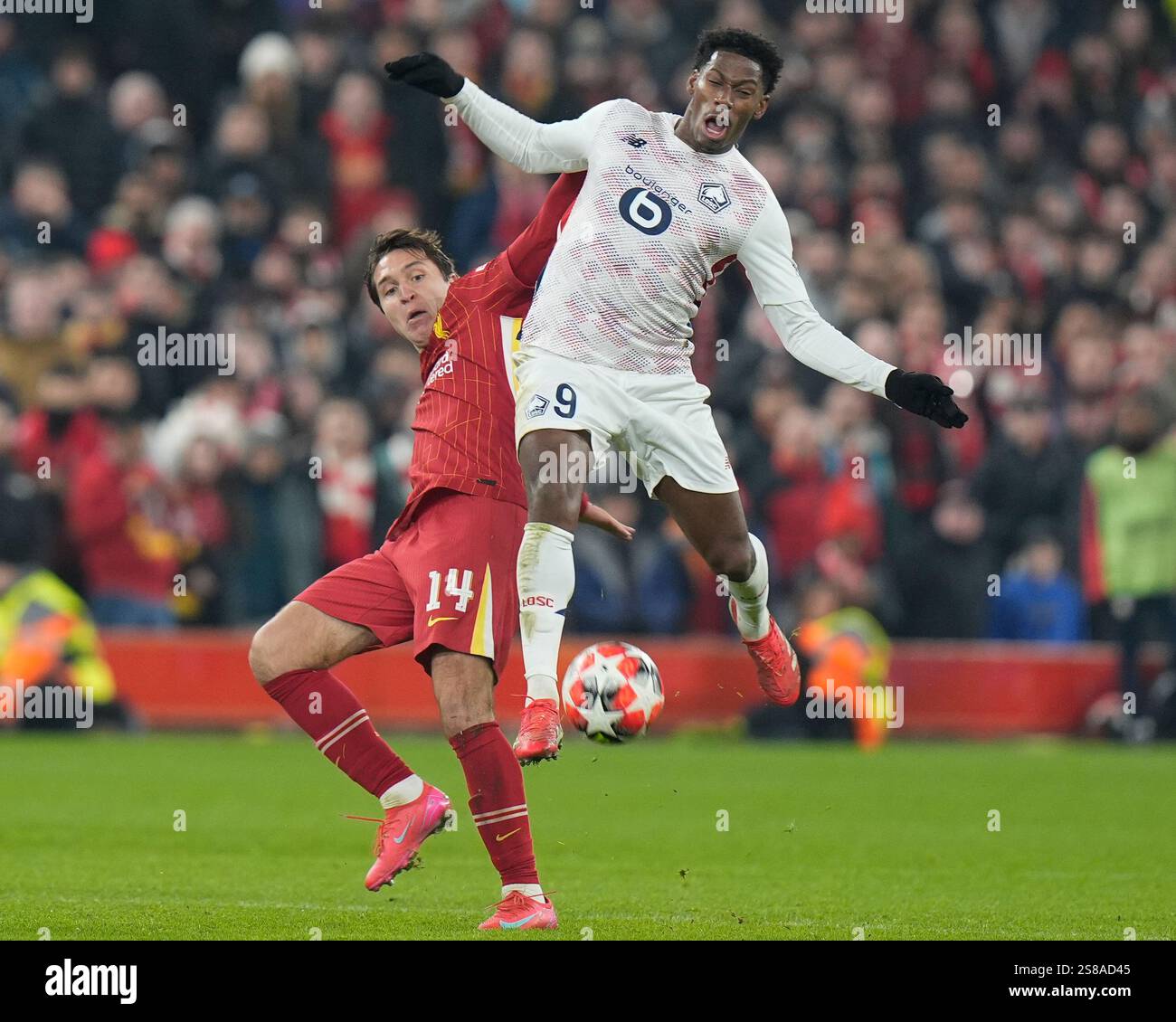 Anfield, Liverpool, Merseyside, UK. 21st Jan, 2025. Champions League ...